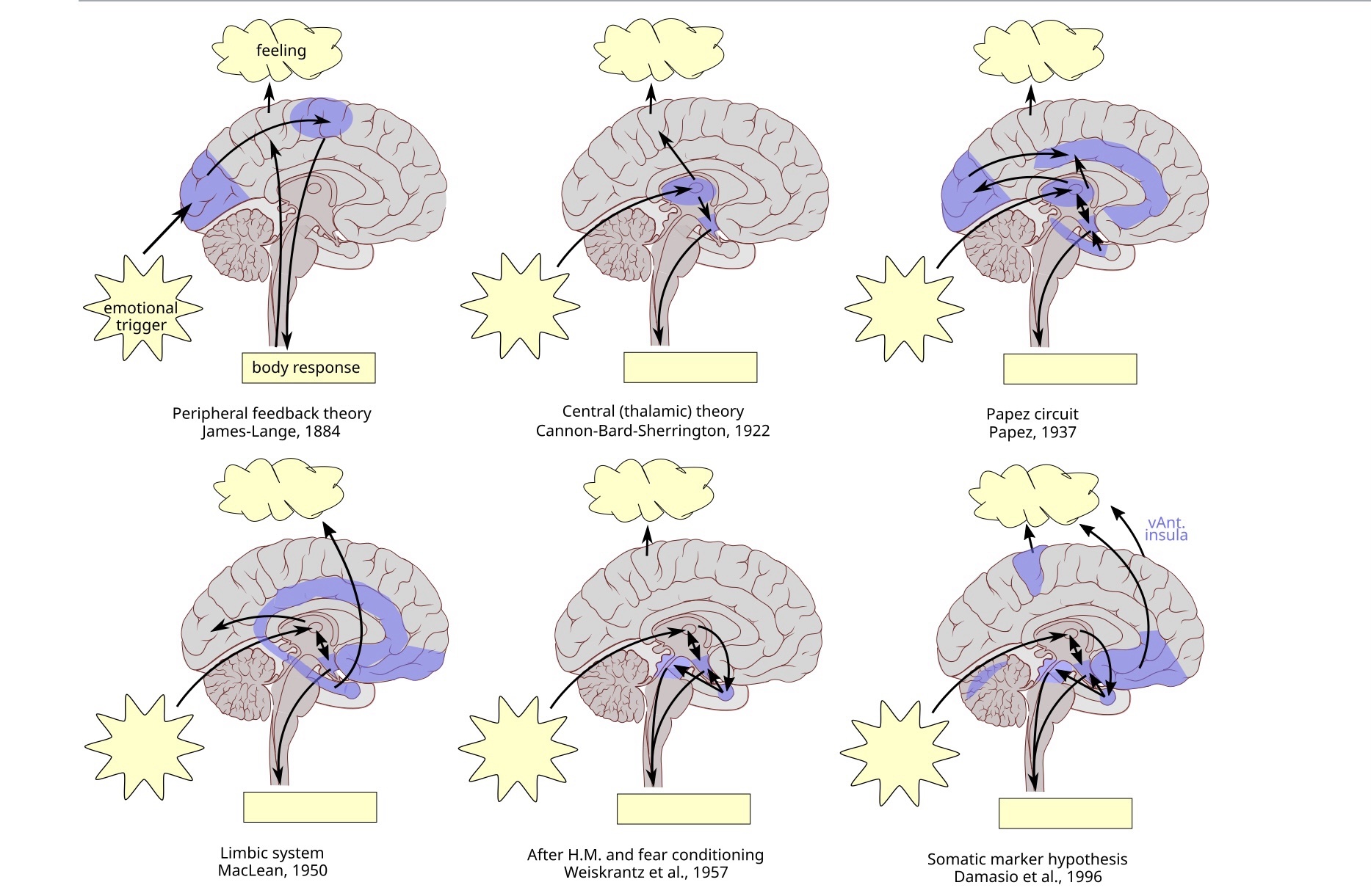 Origins of Emotions | Dialogos of Eide